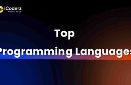 10 Undeniable Reasons to Hire a Web Development Company in India